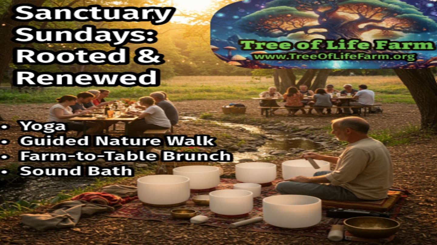 Sanctuary Sundays: Rooted & Renewed - May 25th