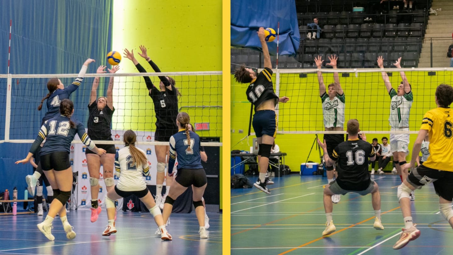 Adulte William Hingston Été 2025 - Essai Féminin