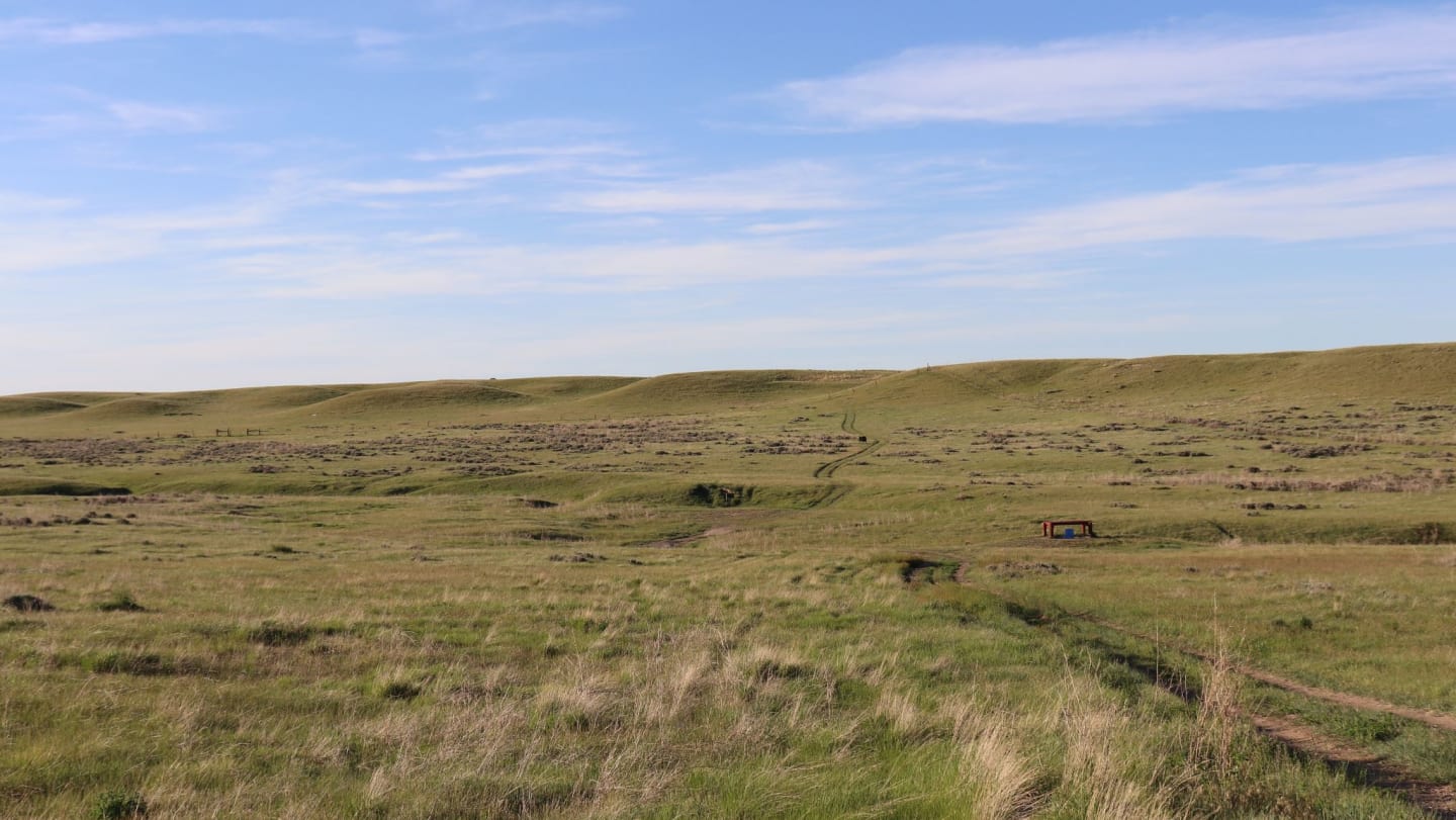 Cold Season Grazing Clinic with Cooper Hibbard