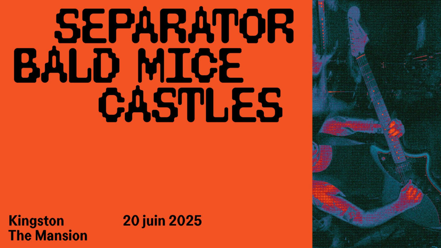 The Mansion Kingston/Bald Mice/Separator/Castles