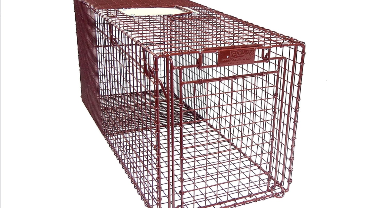 Donate for a Trap for Isla Animals