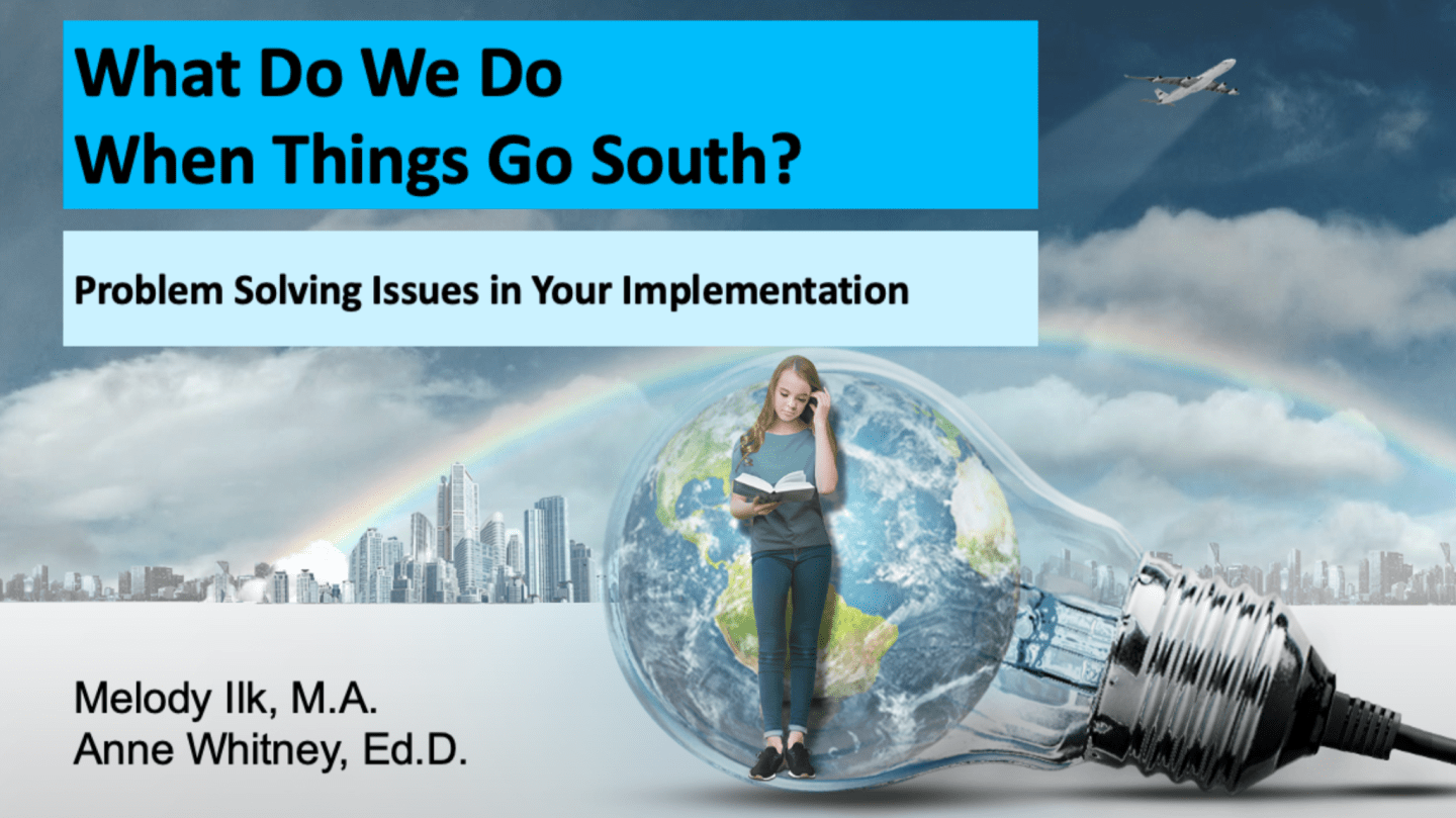 Problem-solving Issues in Implementing Your Literacy Initiative: What ...