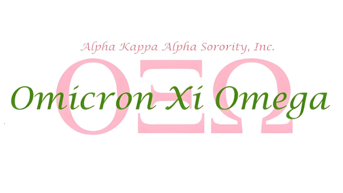 Omicron Xi Omega GenNEXT Committee's 1st Annual D9 Summer Kickoff Flag ...