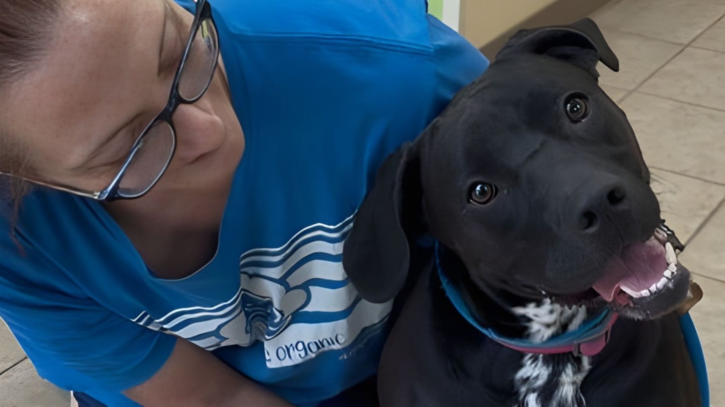 Friend of BARC, Anderson County Humane Society