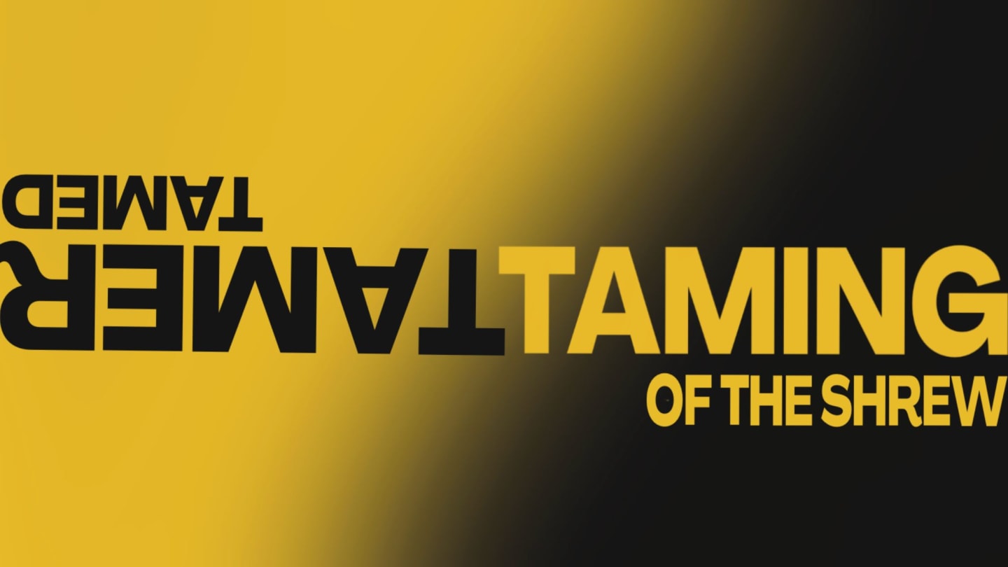 Taming/Tamer Tickets