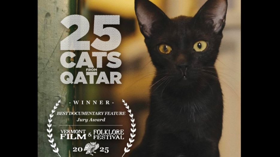 25 Cats from Qatar