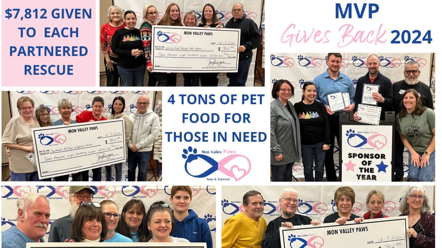 Mon Valley Paws July Lotto Ticket