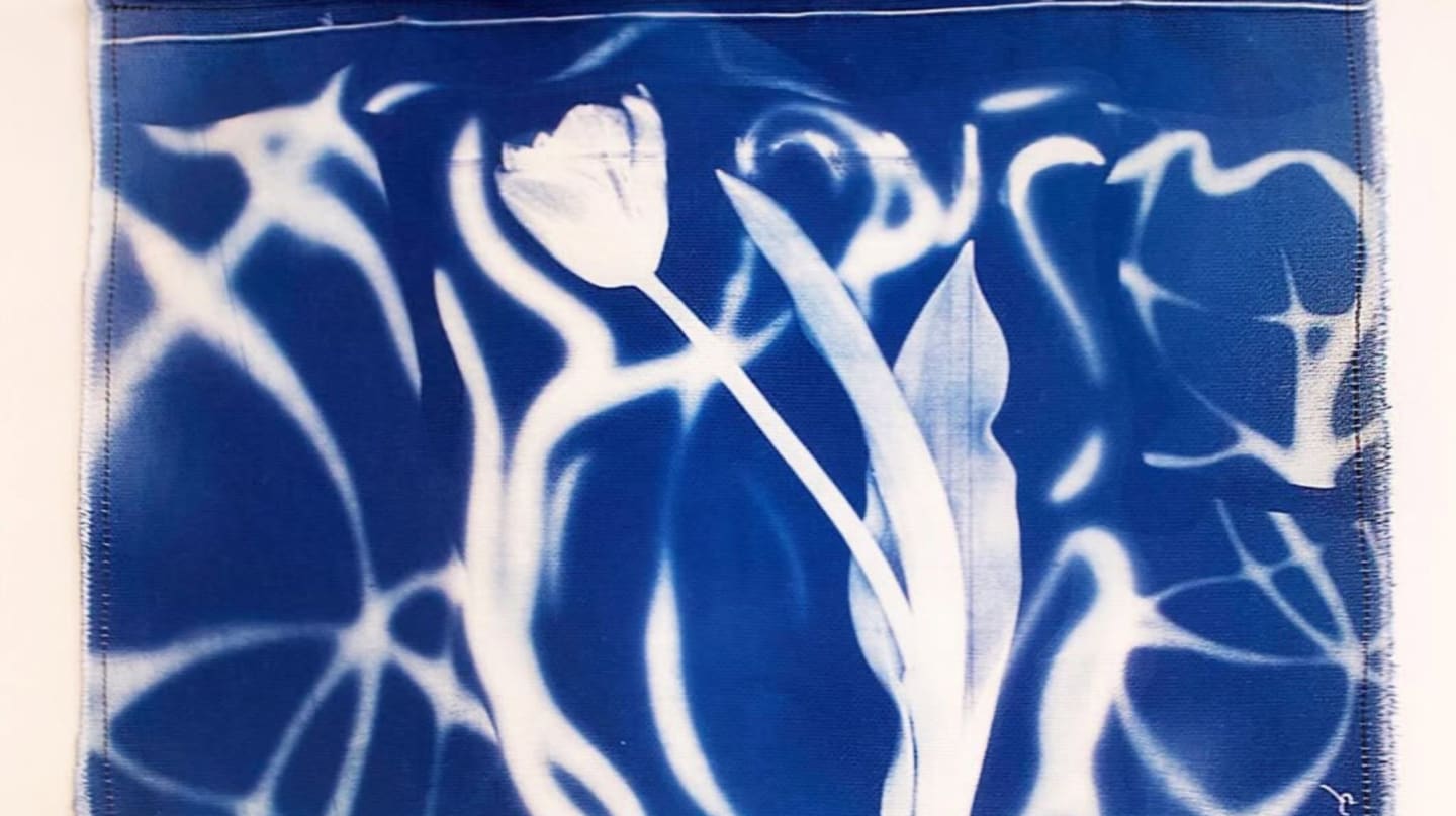Cyanotype Banners