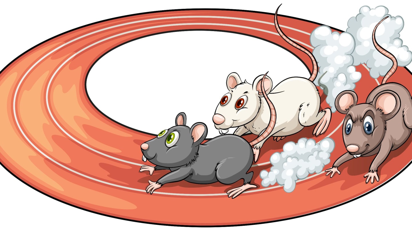 212 Club's Annual Mouse Races