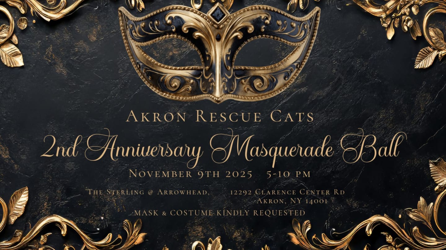 2nd Anniversary Masquerade Gala