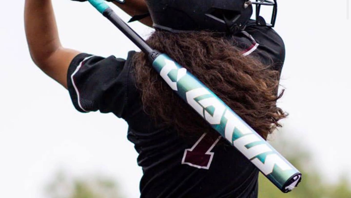 Valley Vipers Bat Raffle