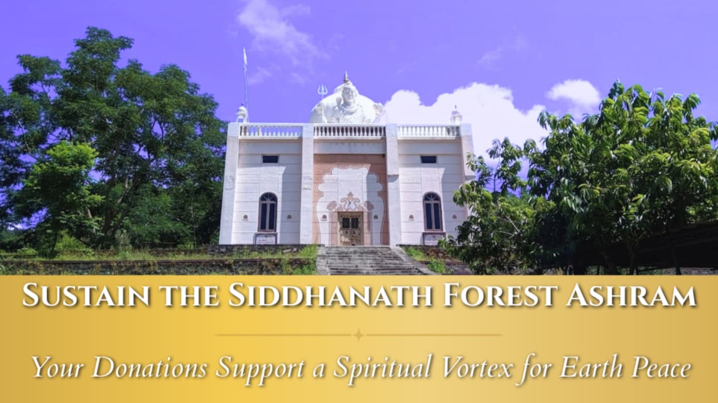 Sustain the Siddhanath Forest Ashram