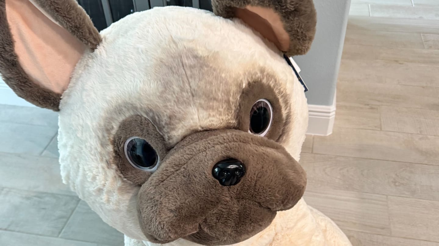 GIANT Frenchie Raffle!