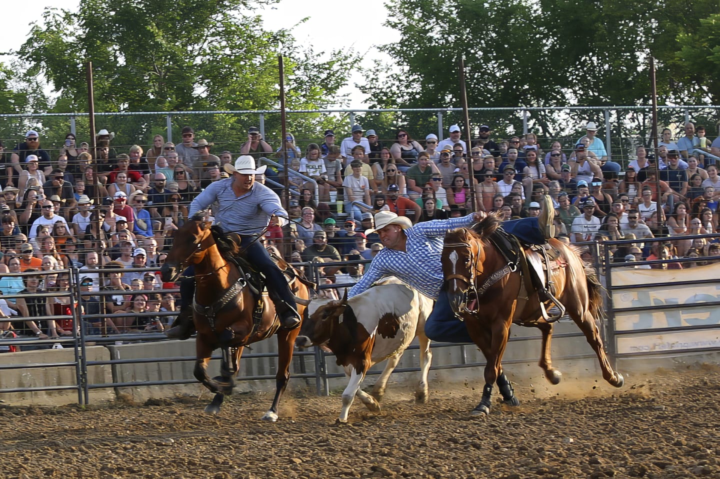 CLERMONT RODEO