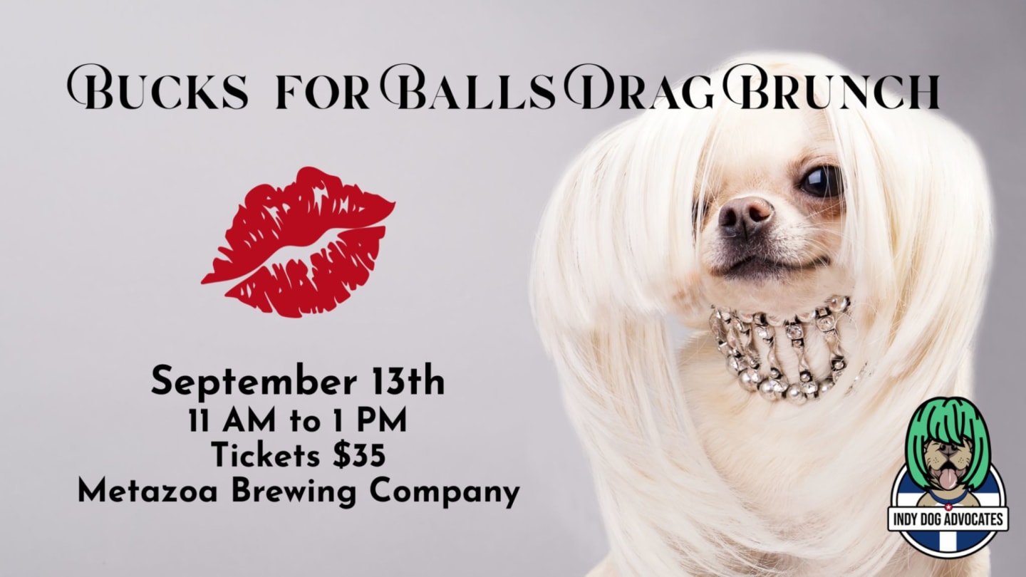 Bucks for Balls Drag Brunch
