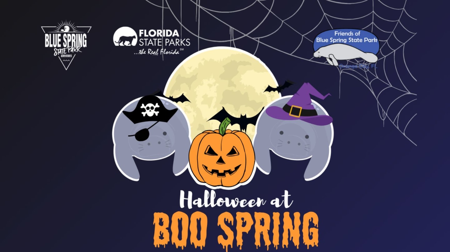 Boo Spring