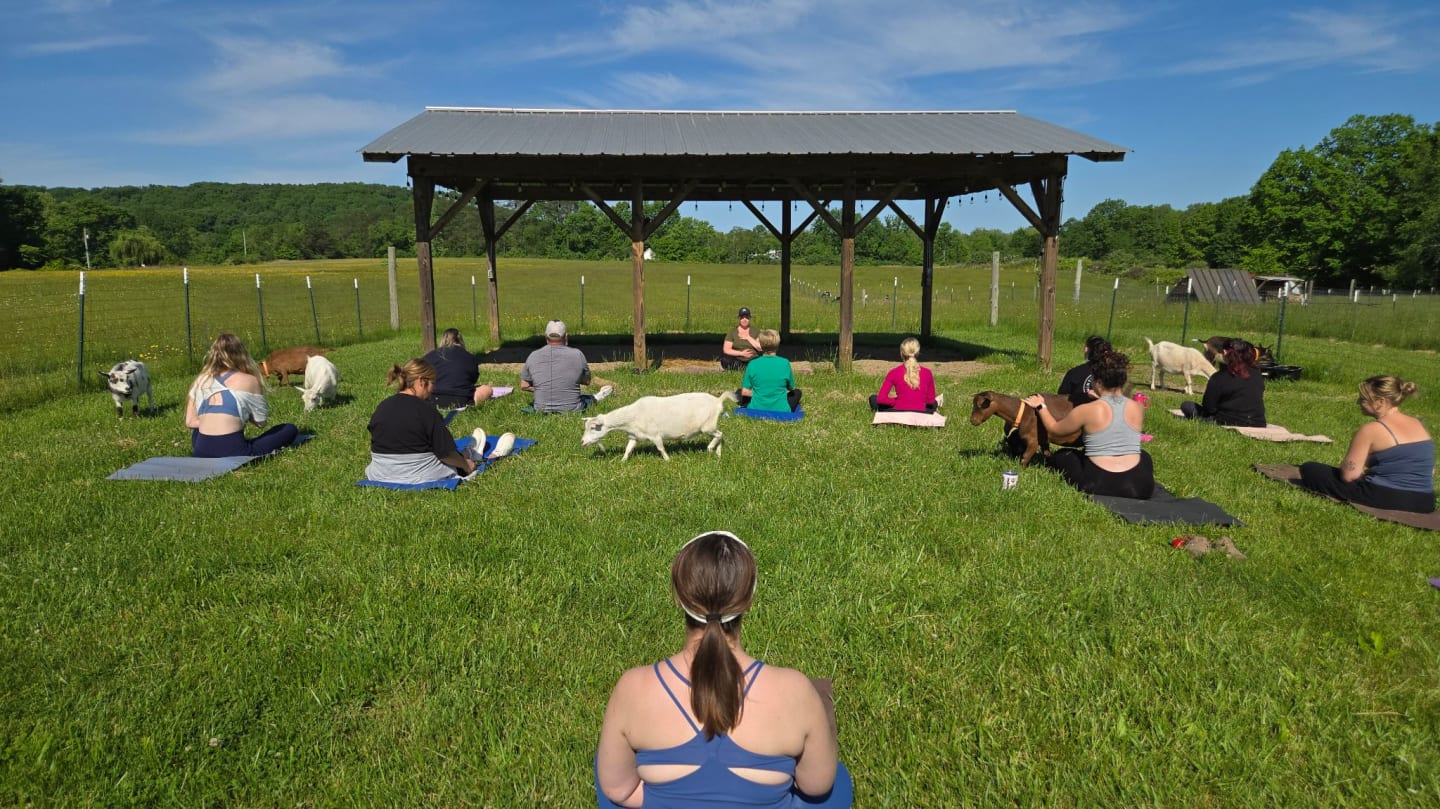 Autumn Equinox Goat Yoga - 3:30pm