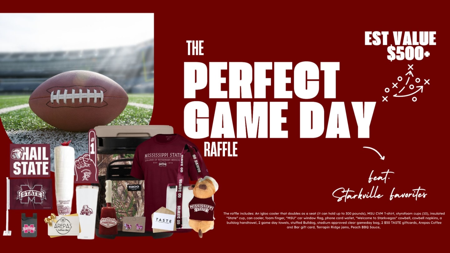 The Perfect Game Day Raffle