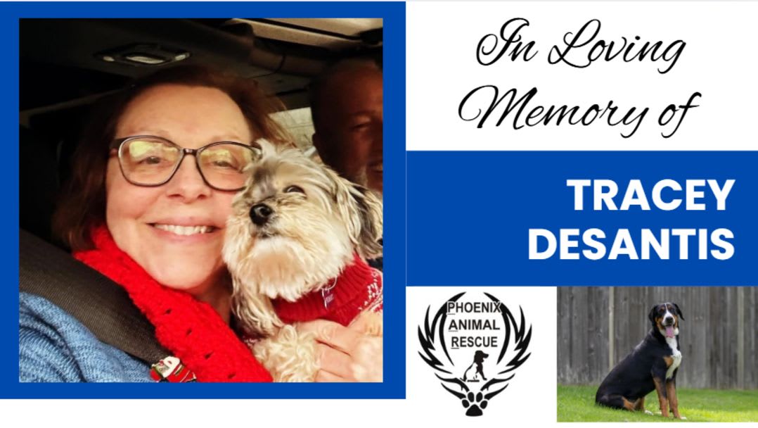 In loving memory of Tracey Desantis