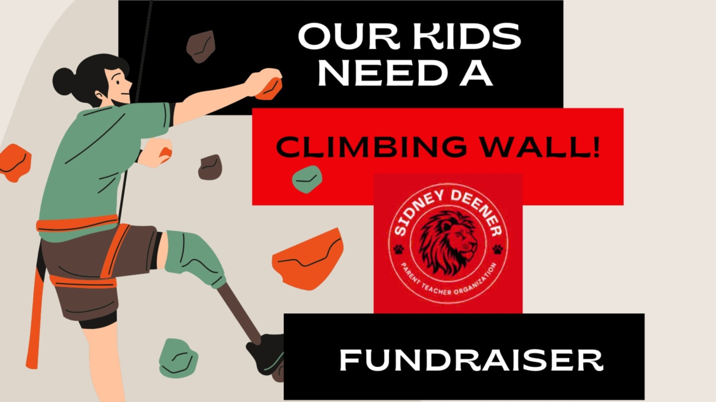 Deener Climbing Wall for Gym