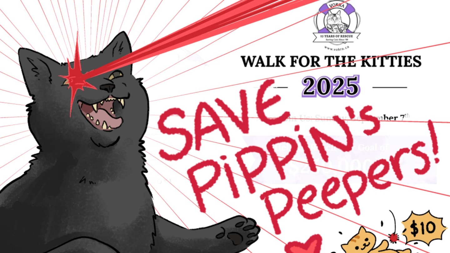 Team Jam - Save Pippin's Peepers!