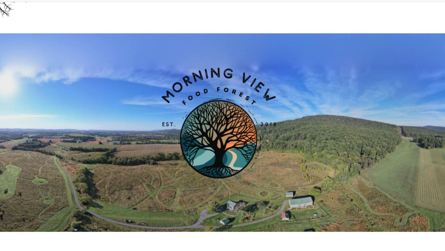 Rest & Revitalization: REED Food Forest Field Trip