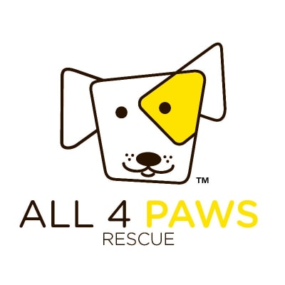 All 4 Paws Coffee Table Book