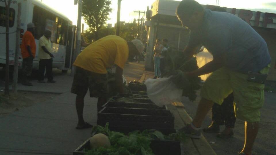 Culinary Kids Food Bank