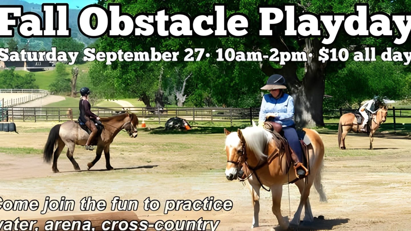 Fall Obstacle Playday