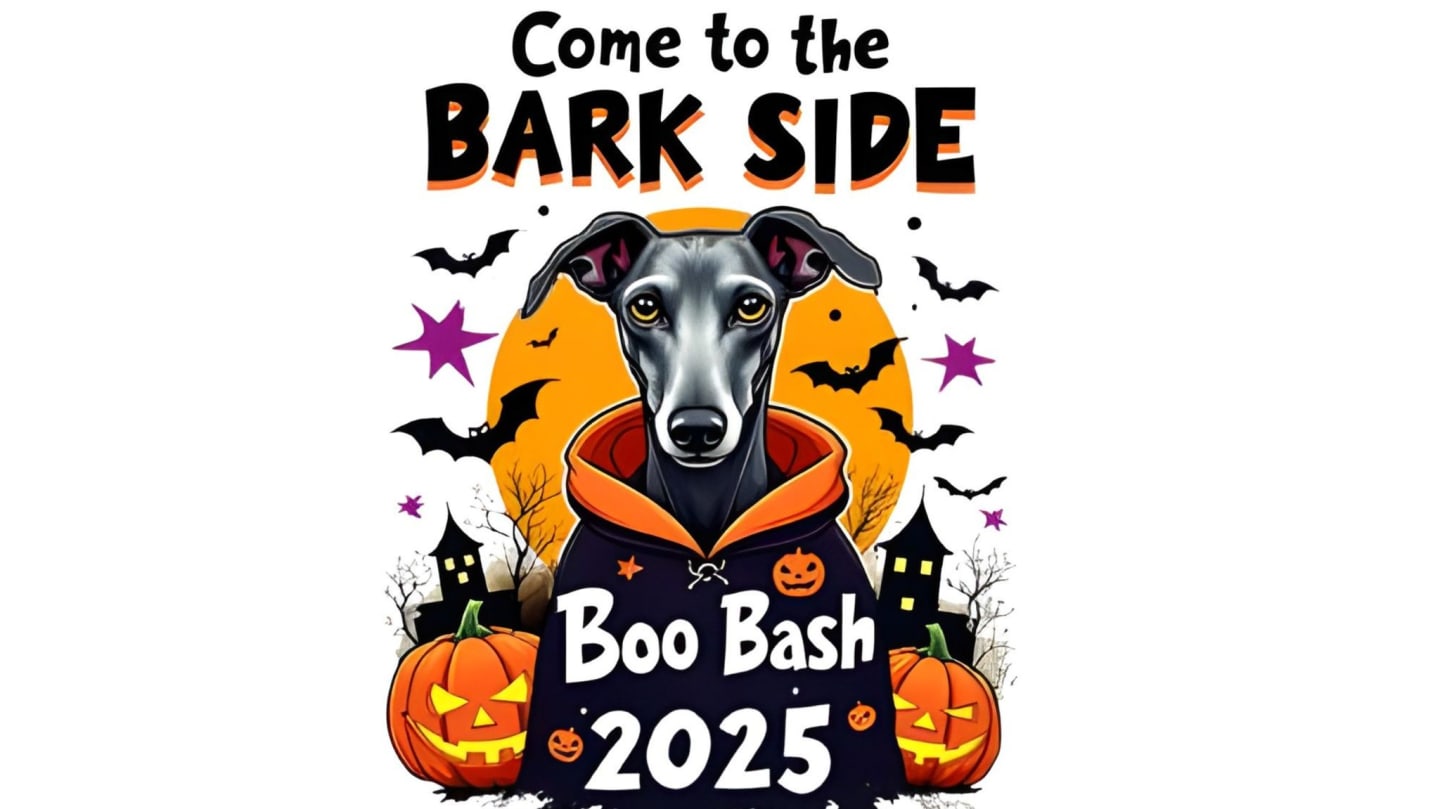 Boo Bash 2025 Shirts