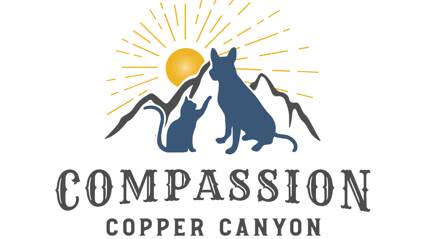 Compassion Copper Canyon Low Cost Veterinary Services