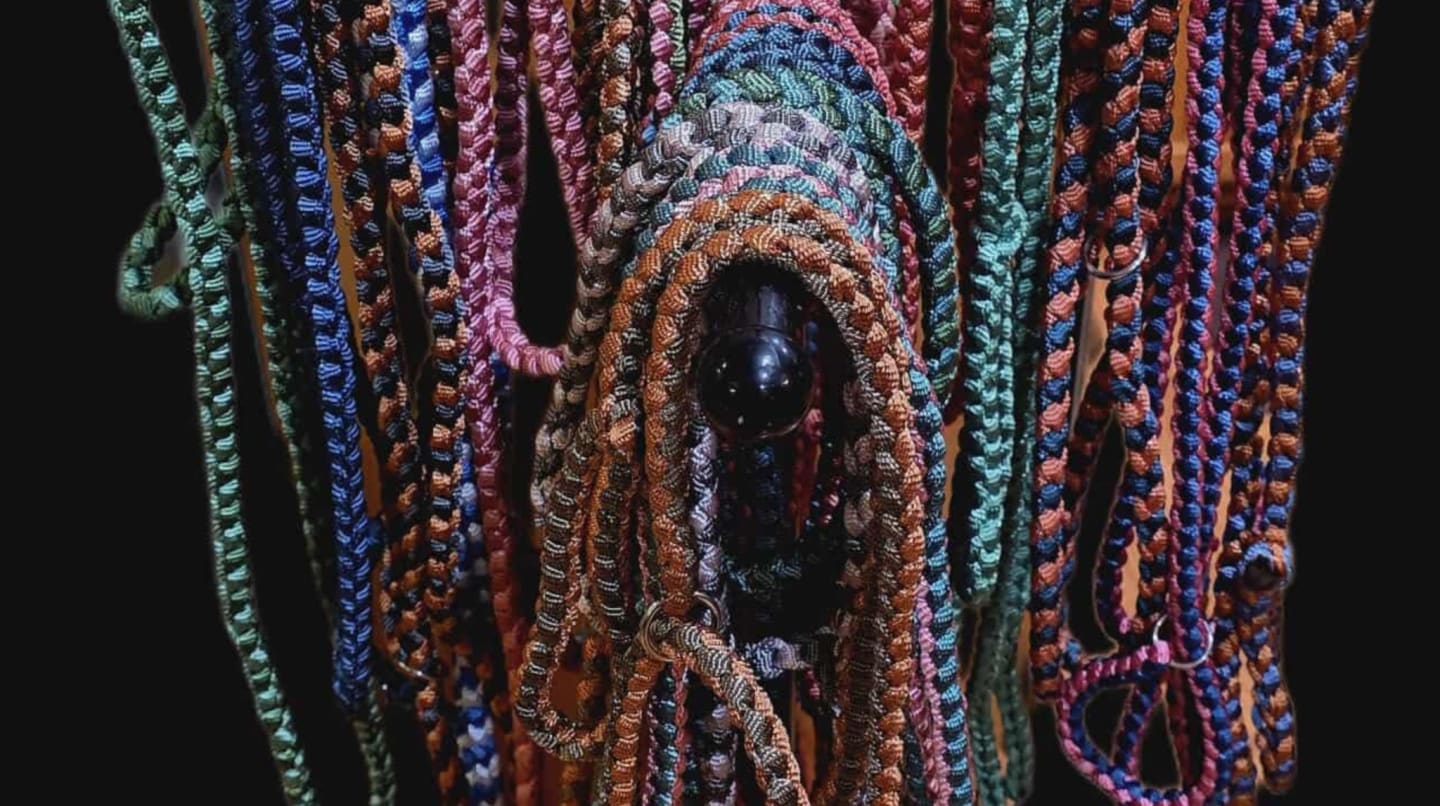 Custom Hand Braided Slip Lead