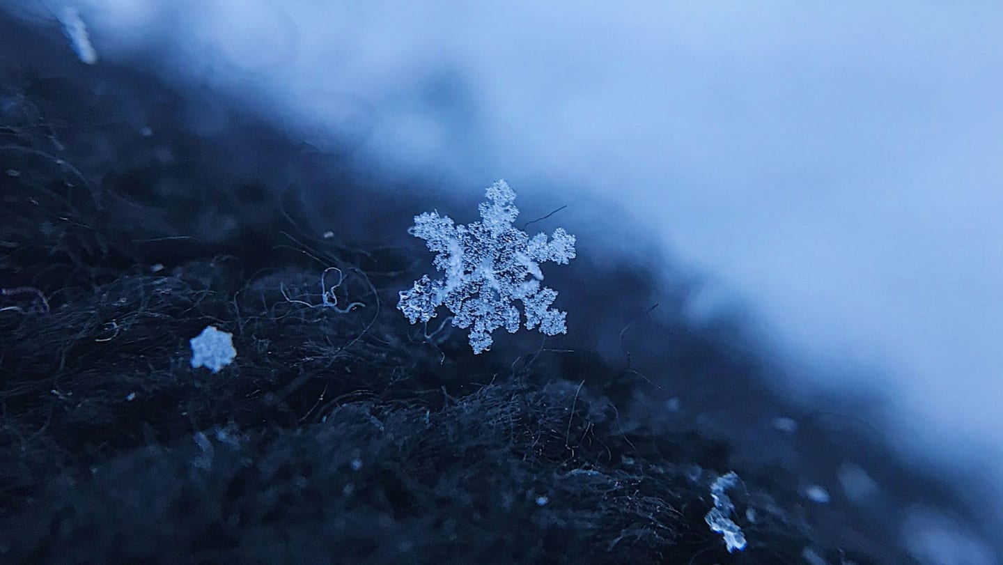 Snowflake Social hosted by: CCRC
