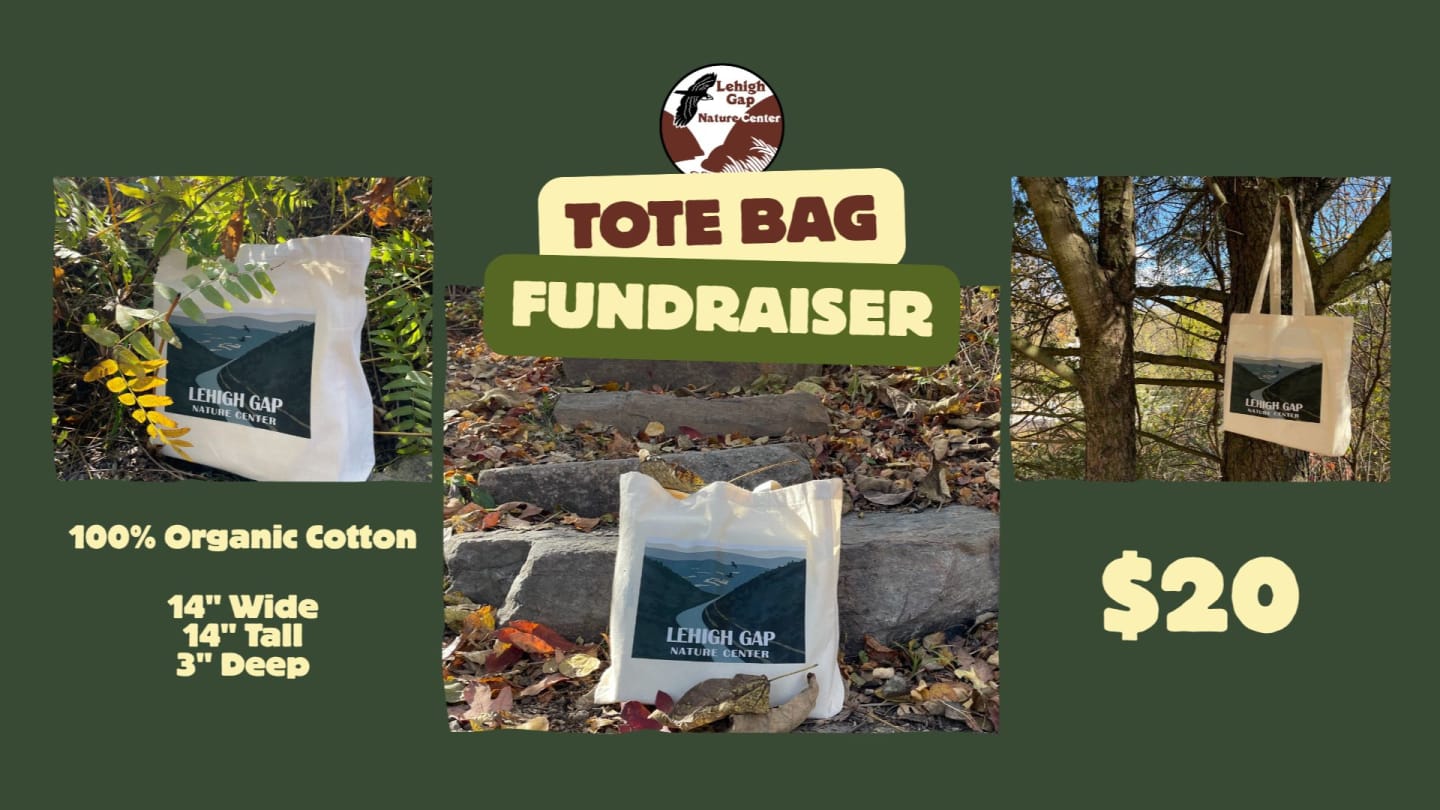 Tote Bag Fundraiser