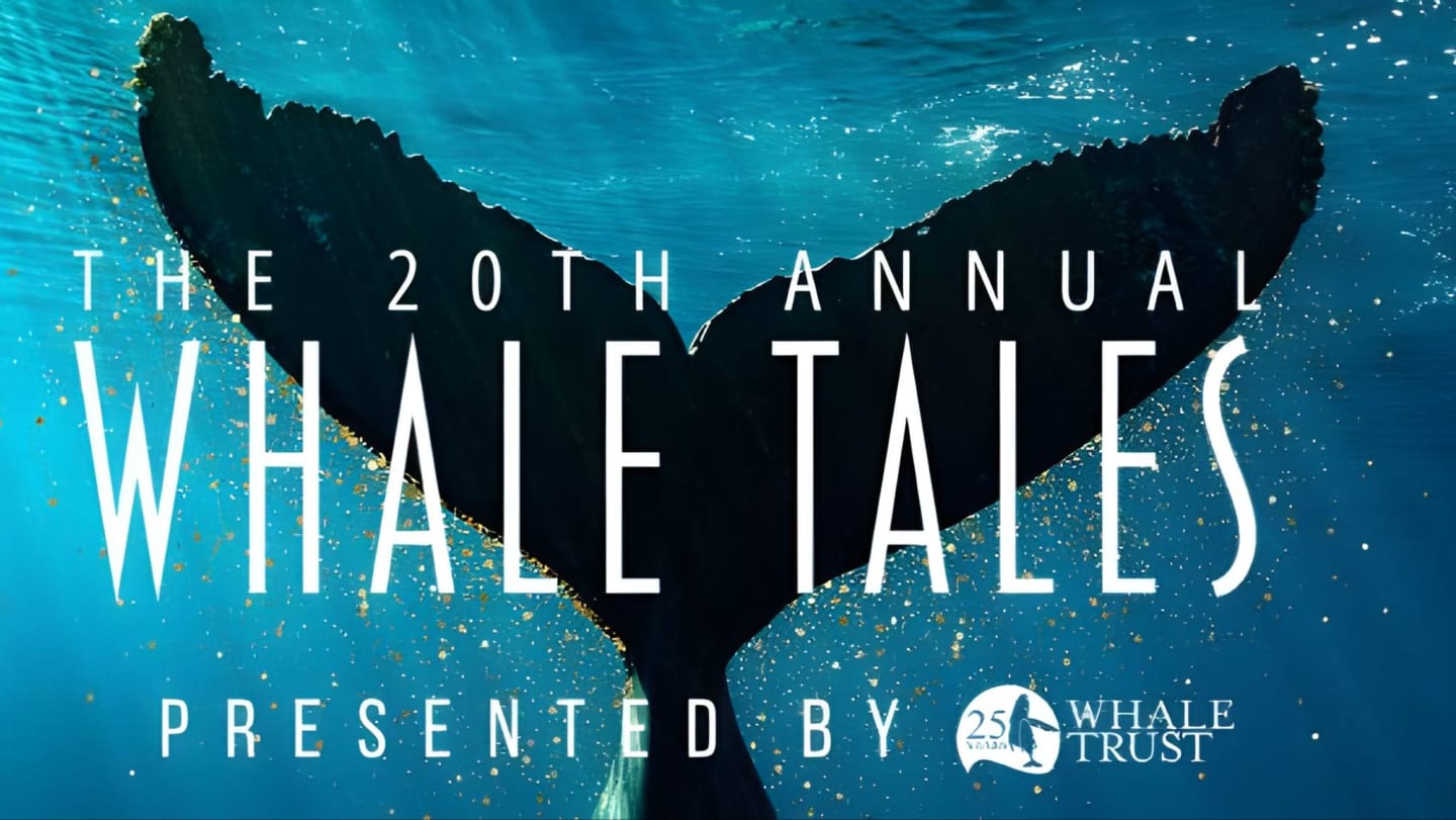 Whale Tales 2026