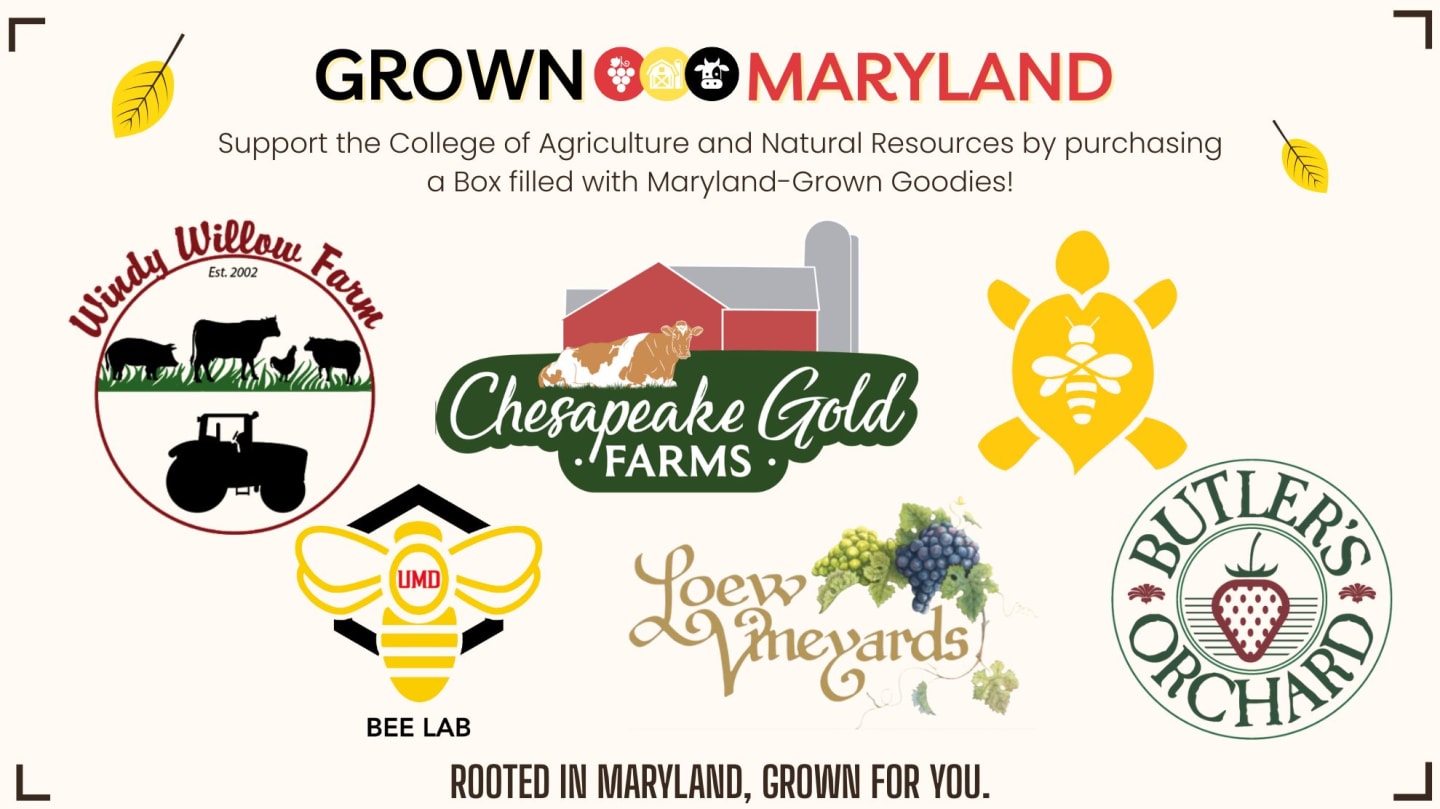 Grown Maryland Box