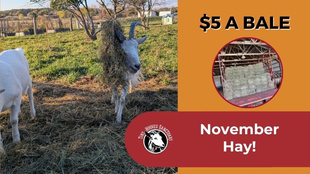 November Hay Cart MATCH!!!
