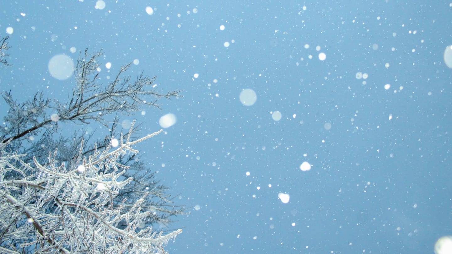PossAbilities Plus Winter Bingo