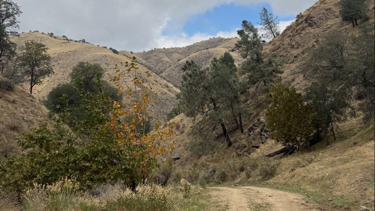 Opt Outside Hike - Douglas Ranch