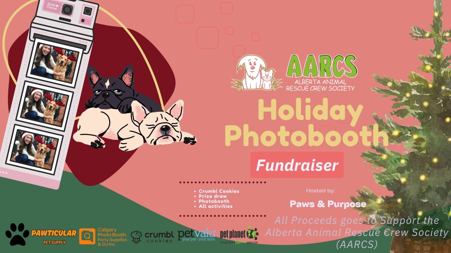 AARCS Holiday Photo booth