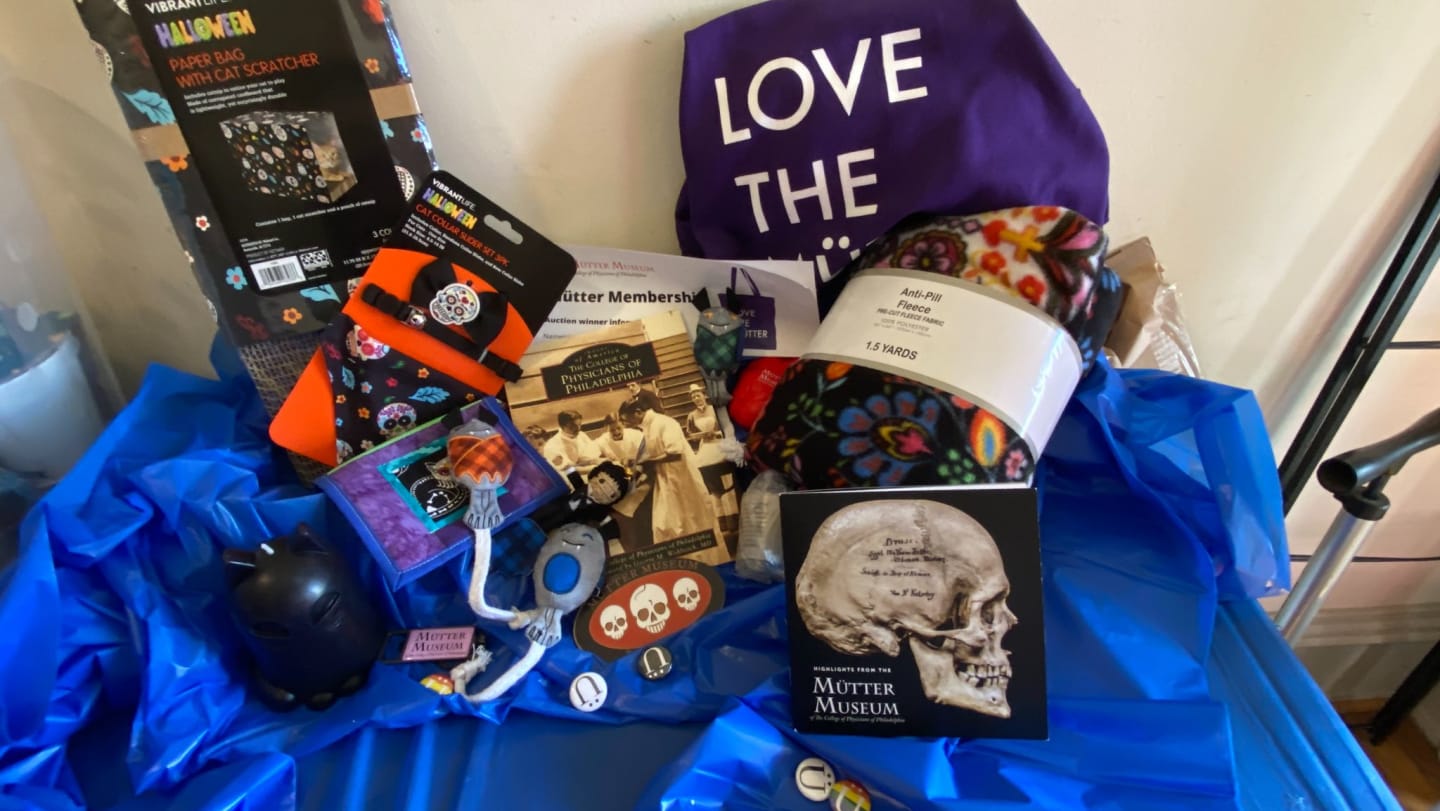 Project Meow's 2025 Catmas Raffle! #7 Museum Tours- Congrats Jon T!