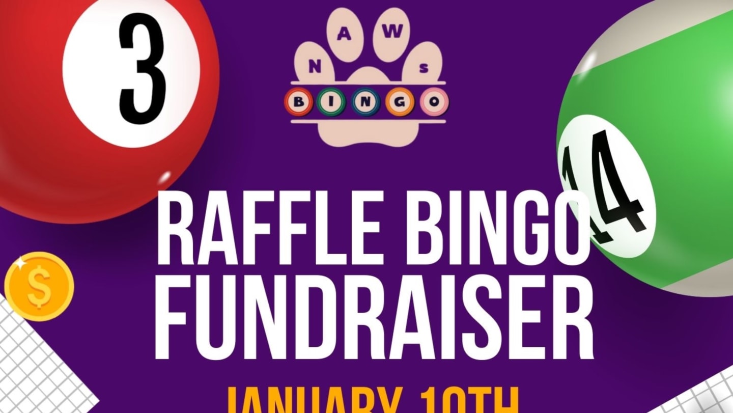 January Cash Raffle Bingo at The Moose!