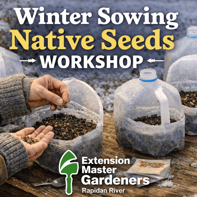 Winter Sowing Class