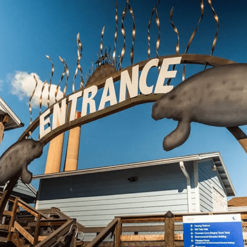 CATCH Manatee Viewing Center