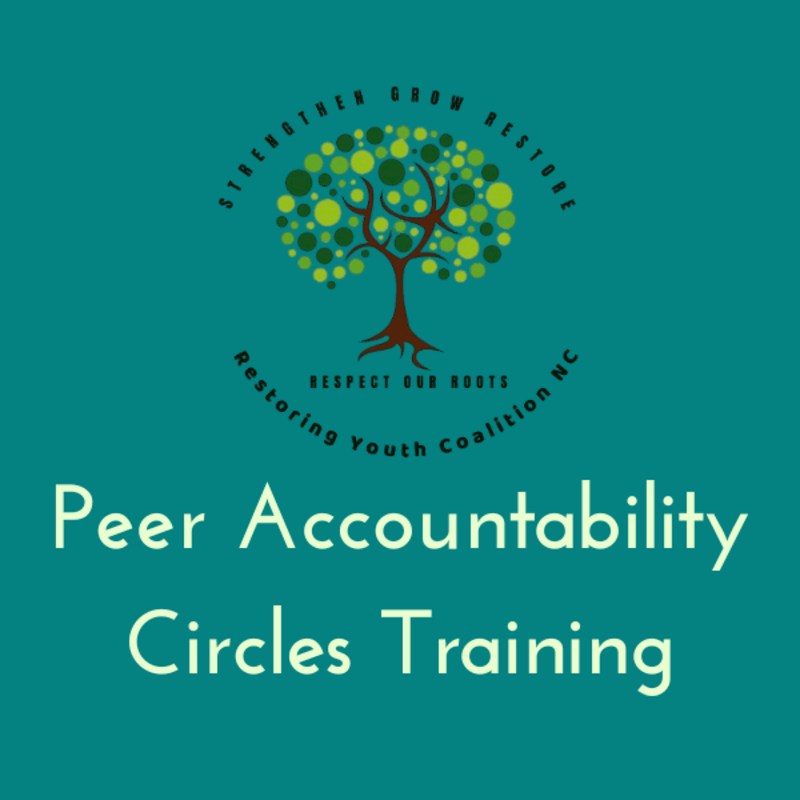 Peer Accountability Circles 2026