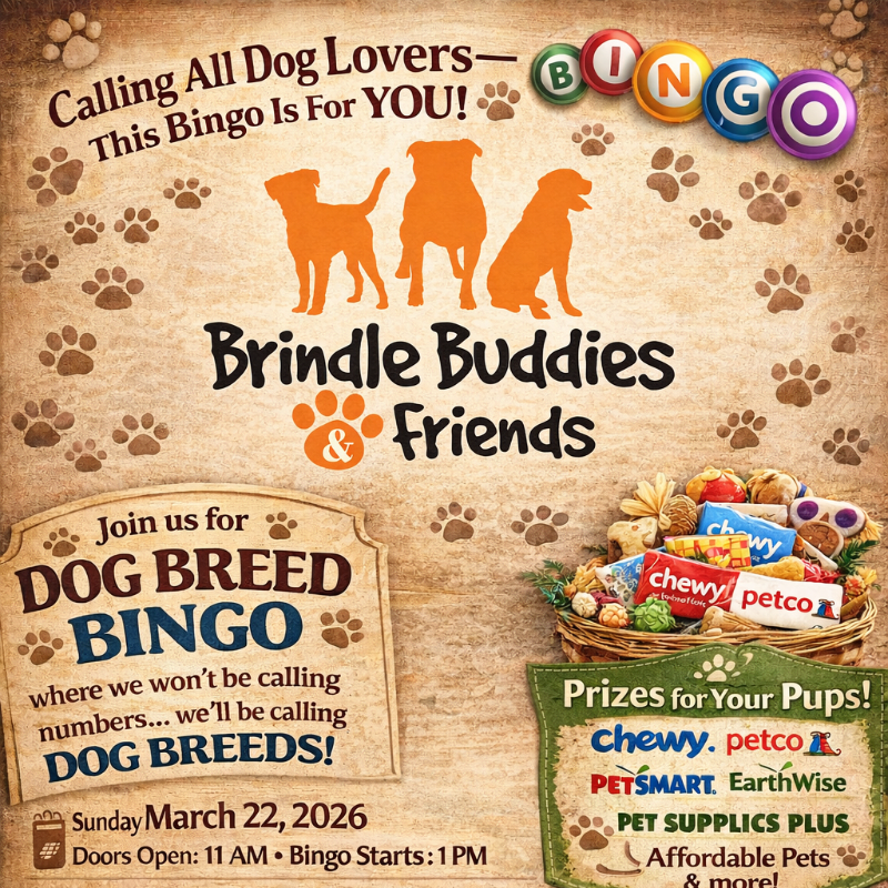 Dog Breed Bingo