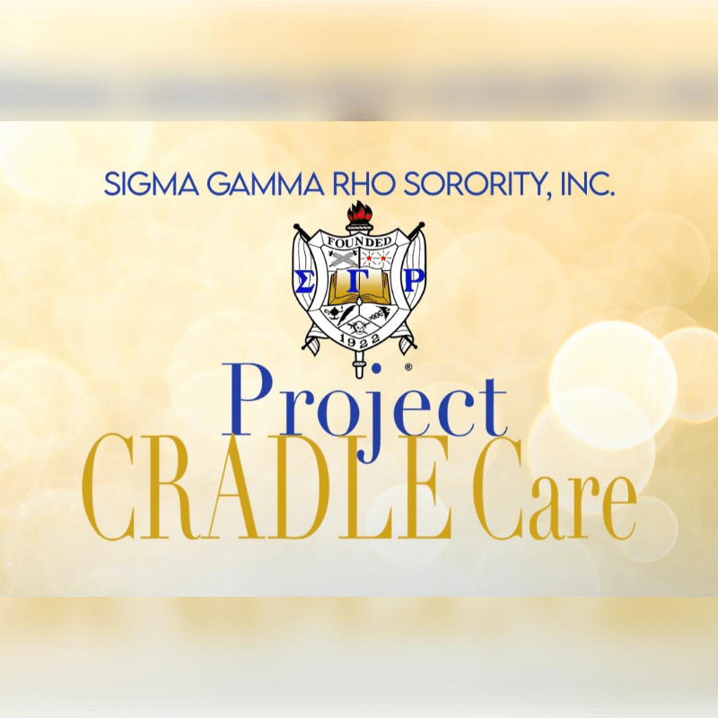 Project Cradle Care-Delta Beta Sigma Rhoyal Community Baby Shower