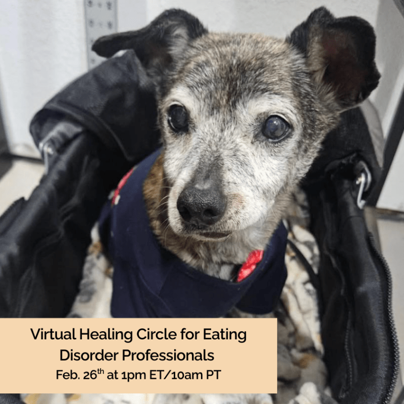SoulPaws Virtual Healing Circle for Eating Disorder Professionals
