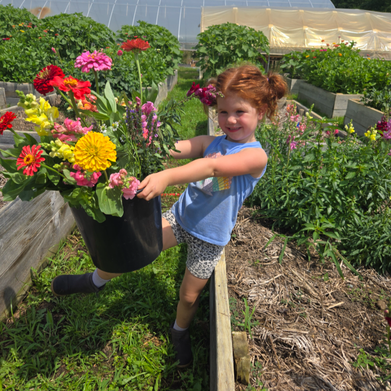 2026 Flower CSA