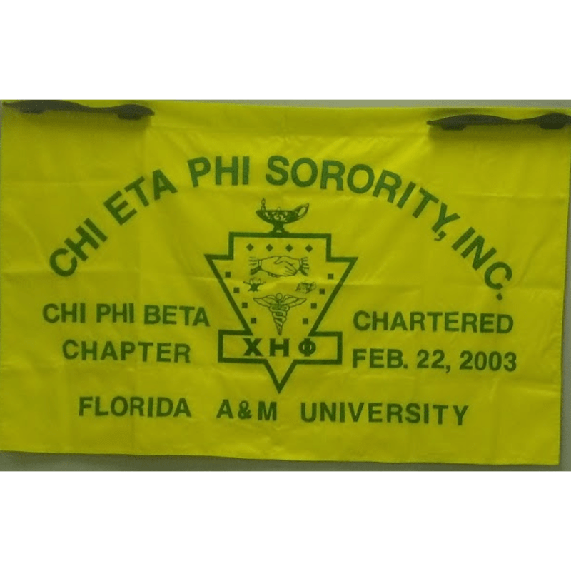 Chi Phi Beta Chapter of Chi Eta Phi Sorority, Incorporated's ...
